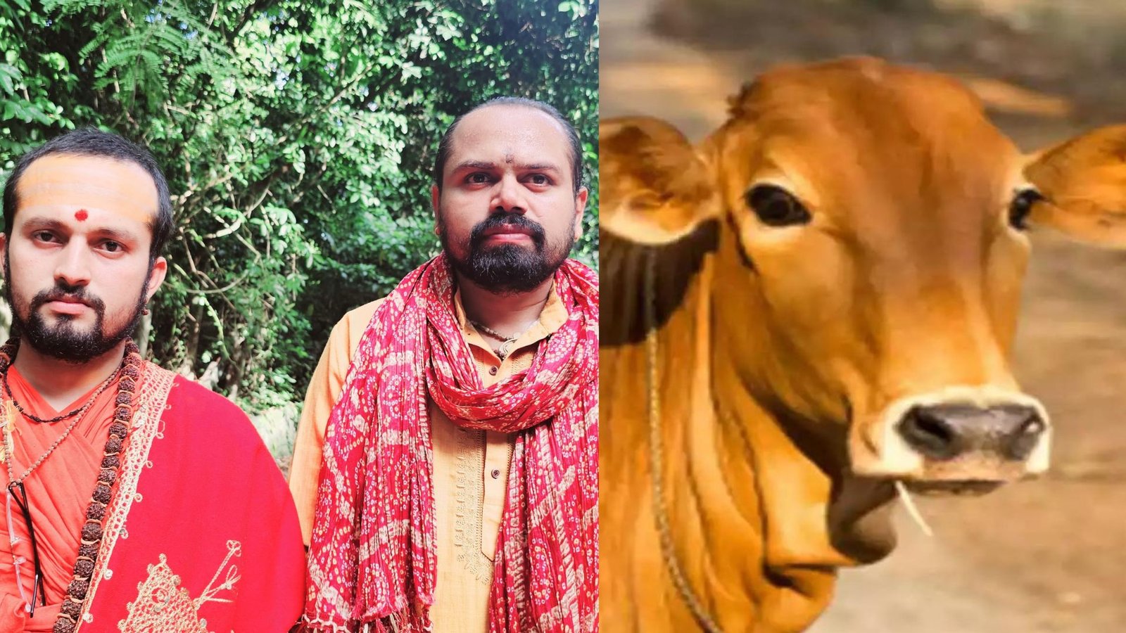 Hindu group to host rally declaring cow as ‘Mother of the Nation’ in ...
